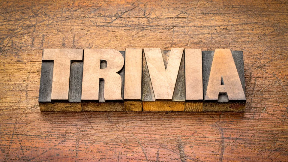 Mineral Area College Foundation to Host Trivia Night Fundraiser